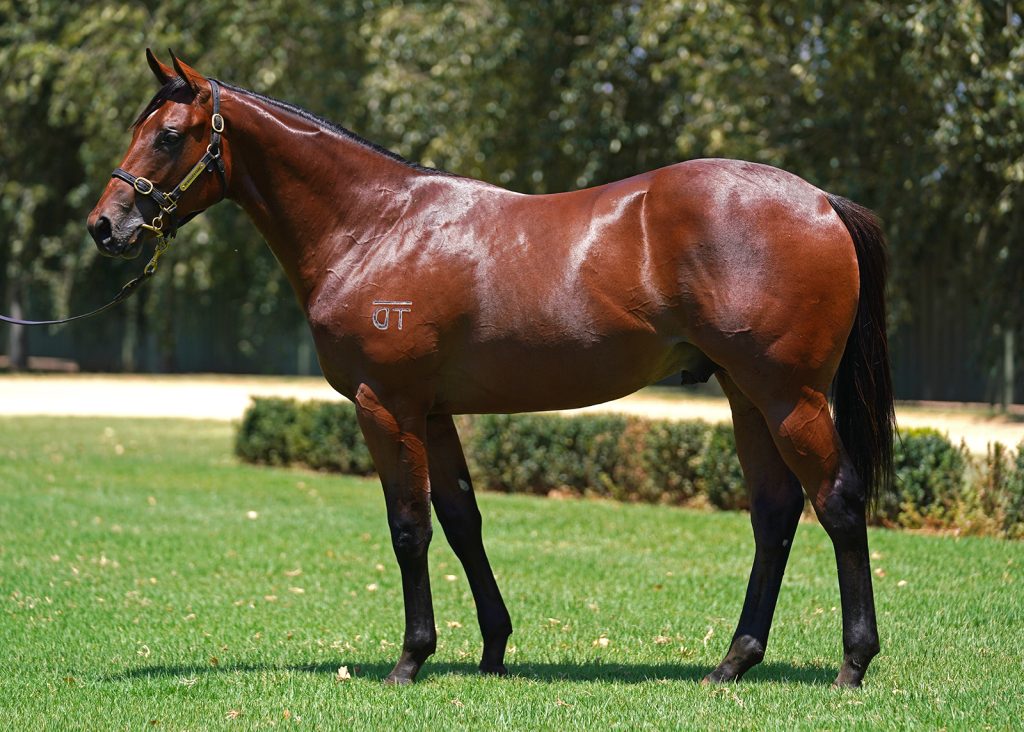 Newhaven Park 2024 Inglis Classic Archives - Newhaven Park