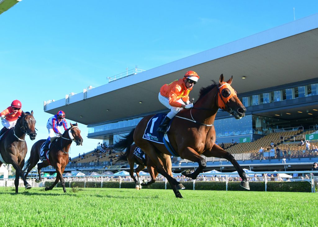 Newhaven Park News Archives - Newhaven Park